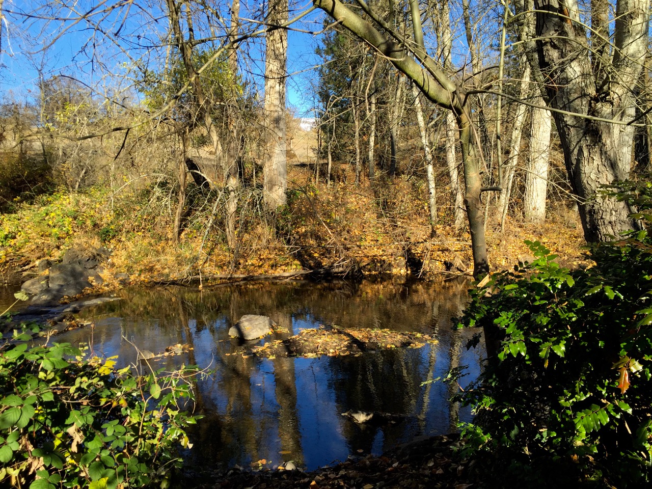 Sooney’s Musings @ North Mountain Park – Musings From Paradise